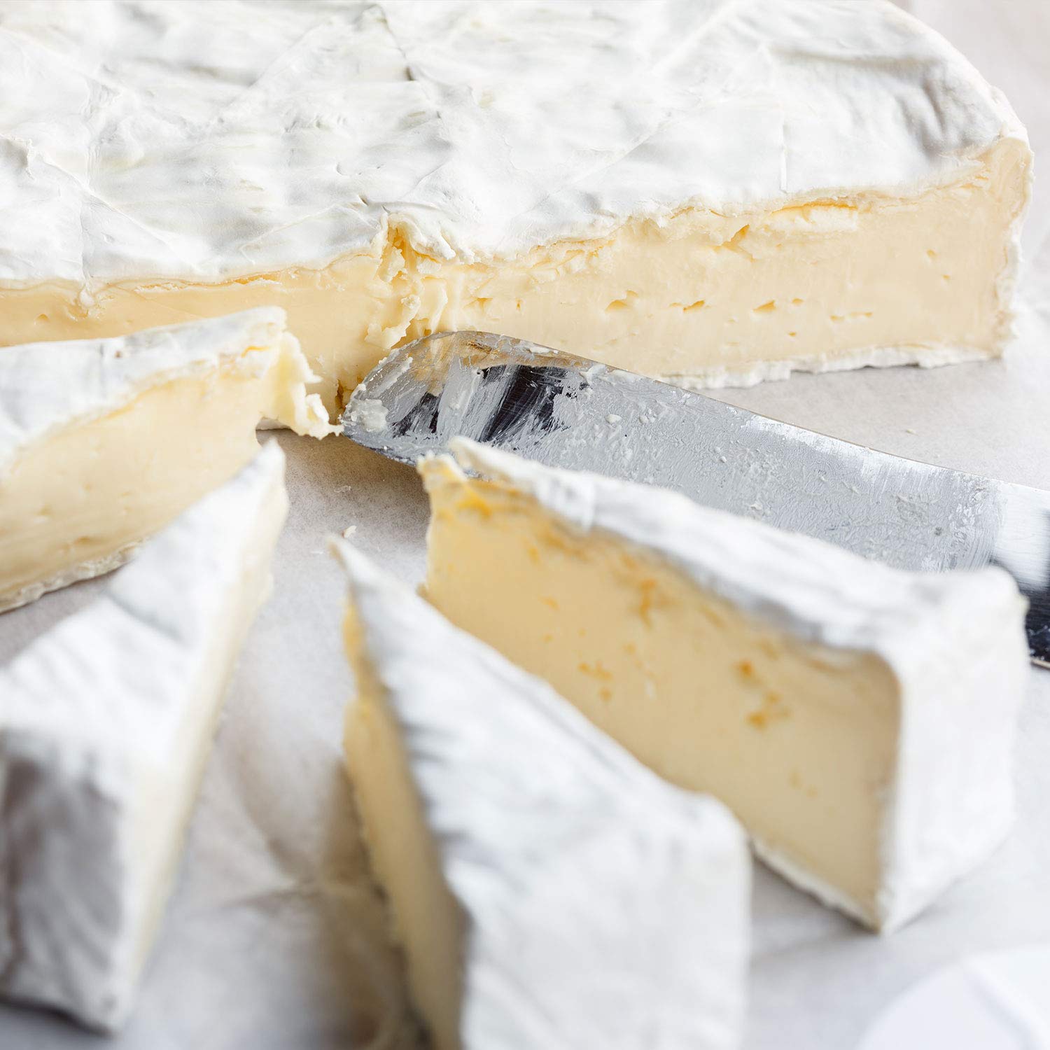 Siers pastāv vairāk nekā 4000 gadus | Gatavo.com